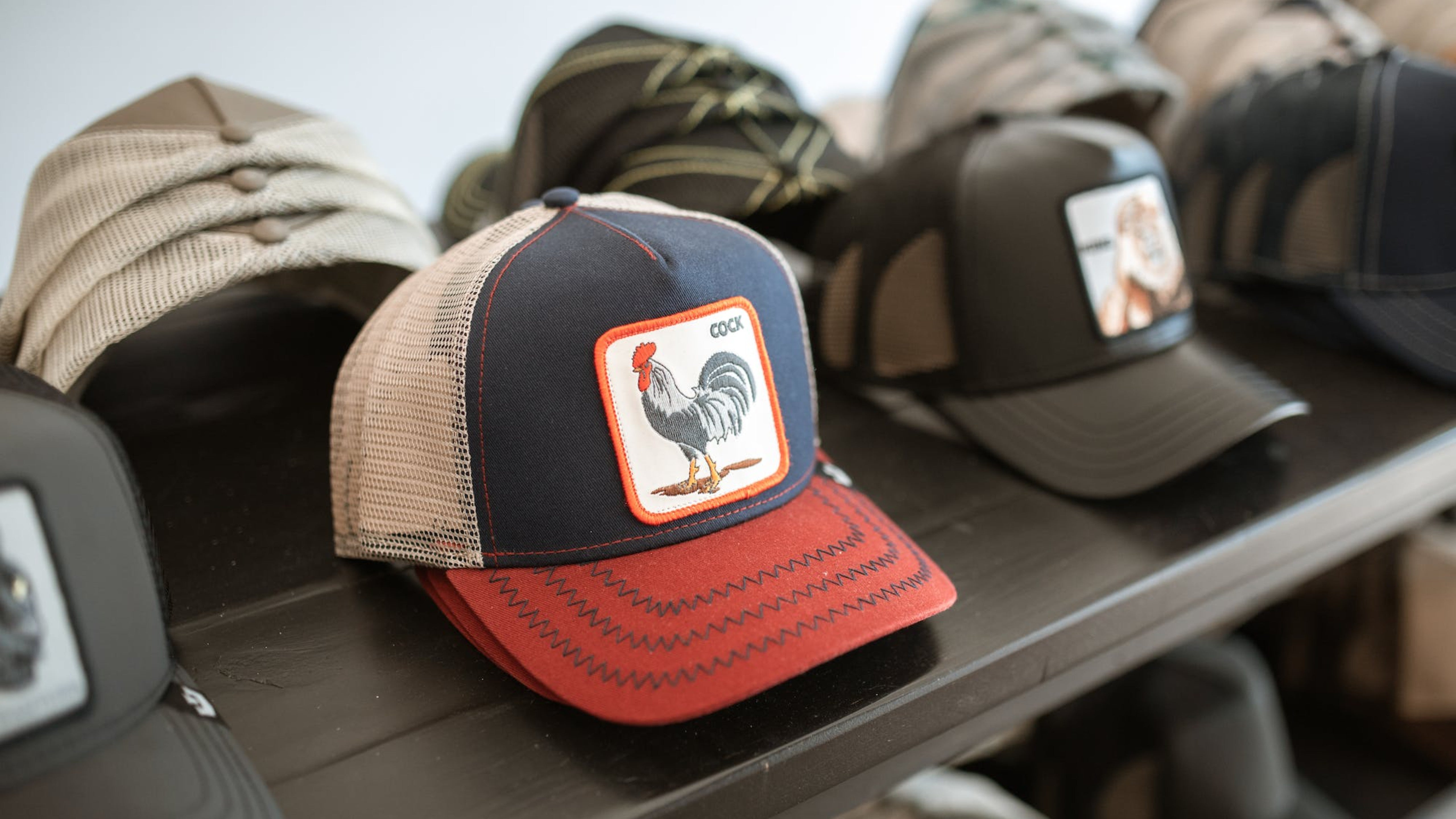 Wild Style: Goorin Bros. Animal Farm Trucker Hats Collection at Bia ...